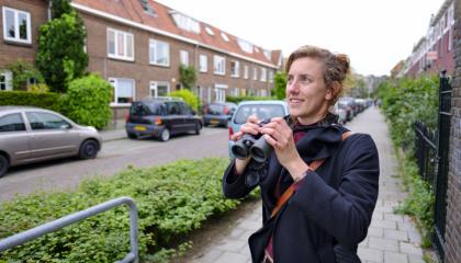 BIJ12 vernieuwt kennisdocument over Huismus | Sovon